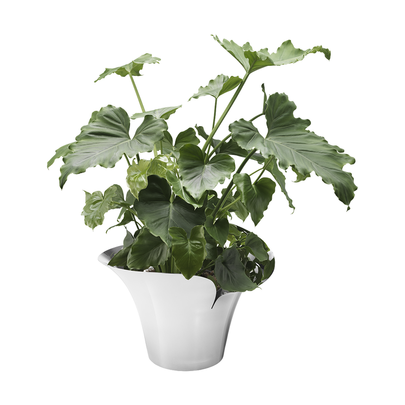 BLOOM BOTANICA Flower pot, Large I Georg Jensen