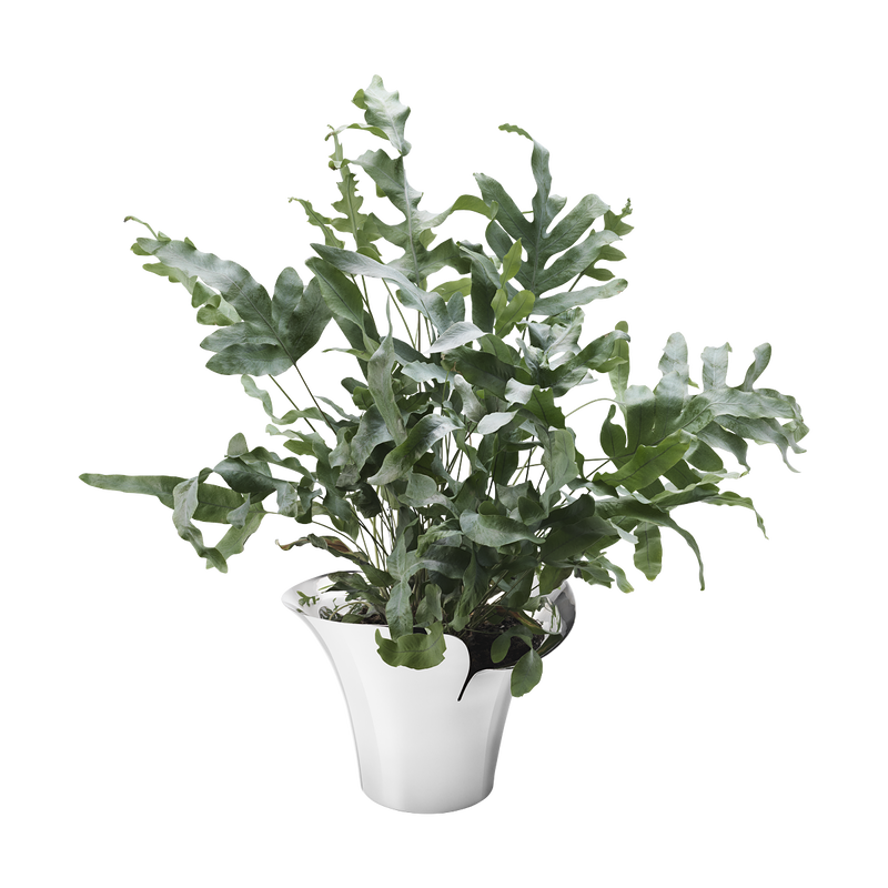 BLOOM BOTANICA Flower pot, Medium I Georg Jensen